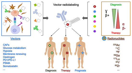 PET Molecular Imaging: A Holistic Review of Current Practice and ...
