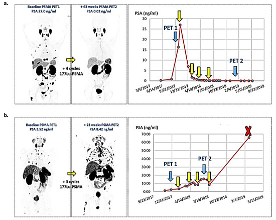PET Molecular Imaging: A Holistic Review of Current Practice and ...