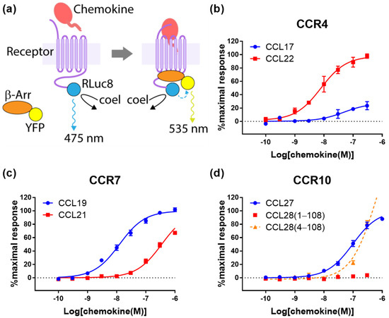 Systematic Assessment of Chemokine Signaling at Chemokine Receptors ...