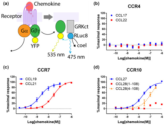 IJMS | Free Full-Text | Systematic Assessment of Chemokine Signaling at ...