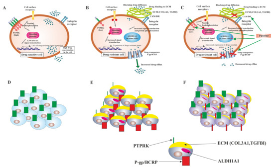 Piperine Targets Different Drug Resistance Mechanisms in Human Ovarian ...