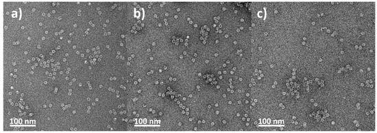 Apoferritin/Vandetanib Association Is Long-Term Stable But Does Not ...