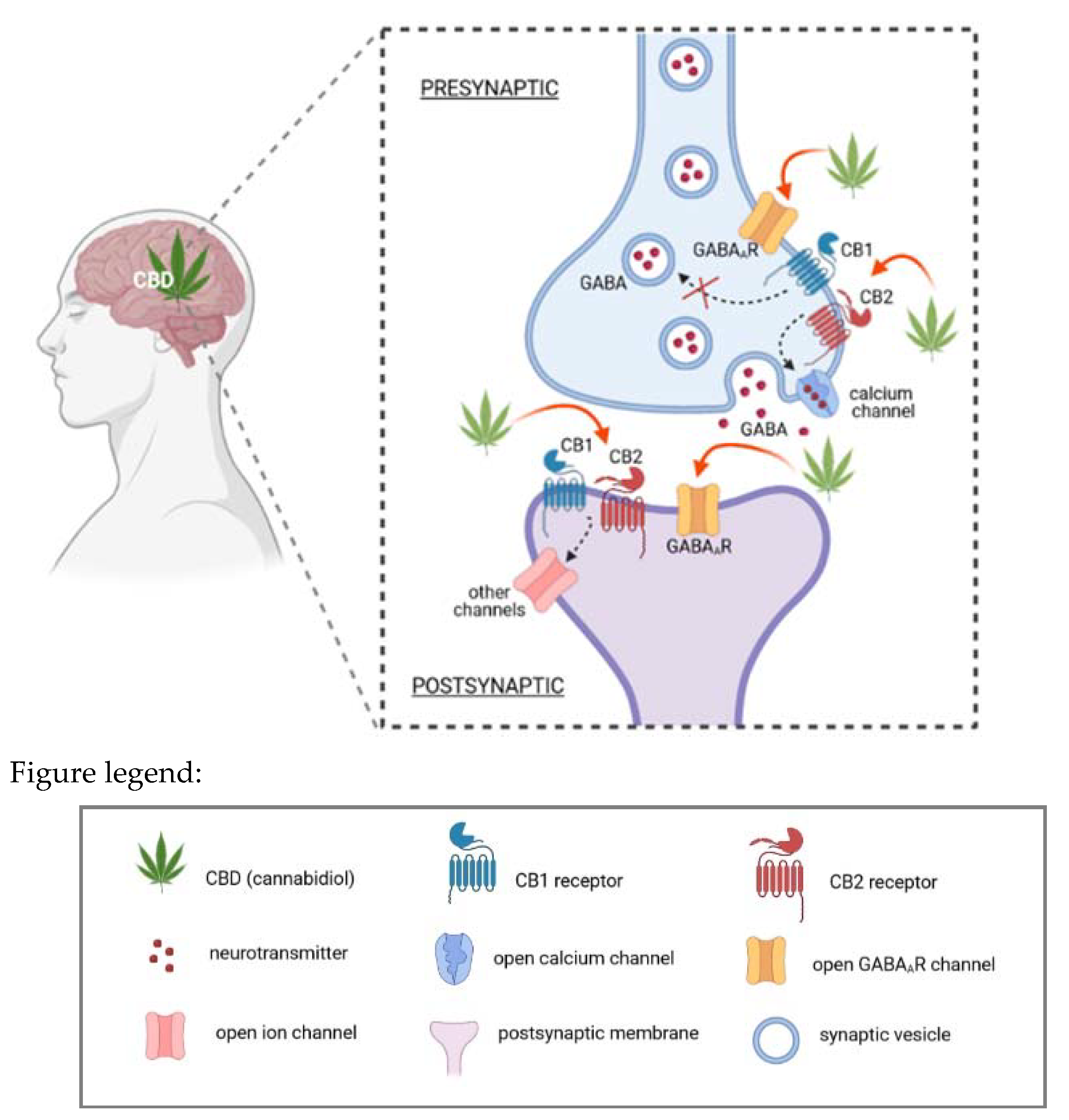 Ijms Free Full Text Cannabidiol In Neurological And Neoplastic Diseases Latest Developments