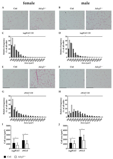 Effects of Whole-Body Adenylyl Cyclase 5 (Adcy5) Deficiency on Systemic ...