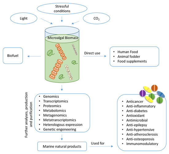Unlocking the Health Potential of Microalgae as Sustainable Sources of ...