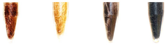 Photoreactivity of Hair Melanin from Different Skin Phototypes ...