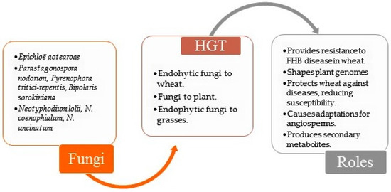 Horizontal Gene Transfer Involving Chloroplasts