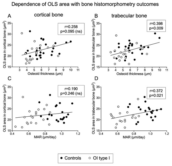 IJMS | Special Issue : Osteoblast Differentiation and Activity in ...