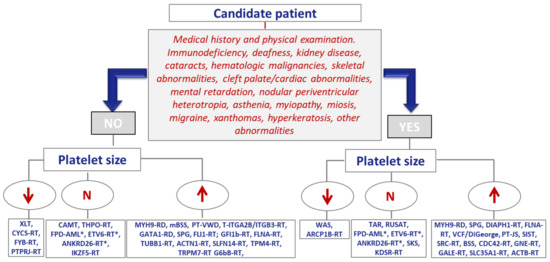 Inherited Platelet Disorders: An Updated Overview