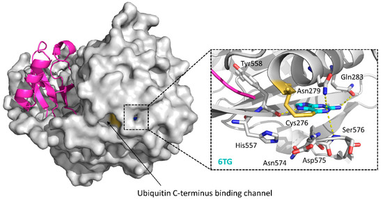 Advances in the Development Ubiquitin-Specific Peptidase (USP) Inhibitors