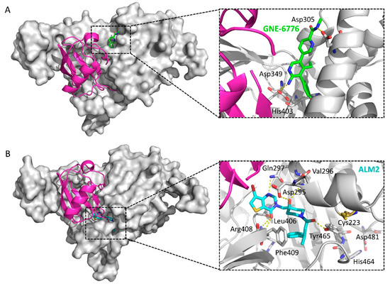 Advances in the Development Ubiquitin-Specific Peptidase (USP) Inhibitors