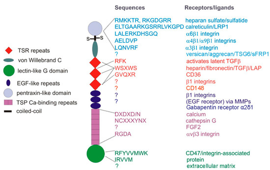 Functions of Thrombospondin-1 in the Tumor Microenvironment