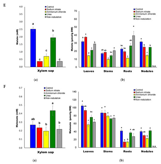 Application of Nitrate, Ammonium, or Urea Changes the Concentrations of ...