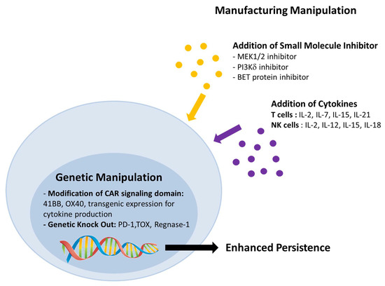 State-of-Art of Cellular Therapy for Acute Leukemia