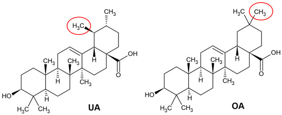 Ursolic and Oleanolic Acids: Plant Metabolites with Neuroprotective ...