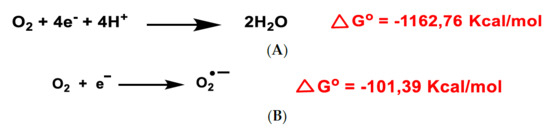 IJMS | Free Full-Text | The Chemistry of Reactive Oxygen Species (ROS ...