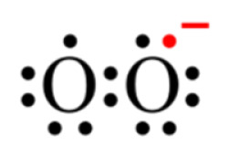 IJMS | Free Full-Text | The Chemistry of Reactive Oxygen Species (ROS ...