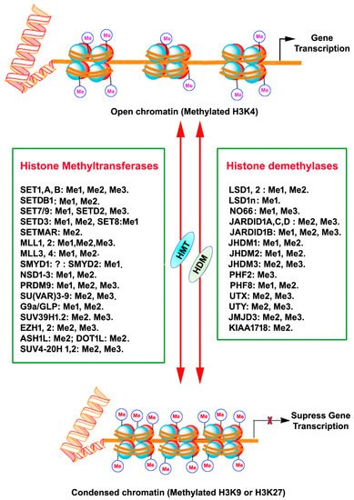 Histone Methylation Regulation in Neurodegenerative Disorders