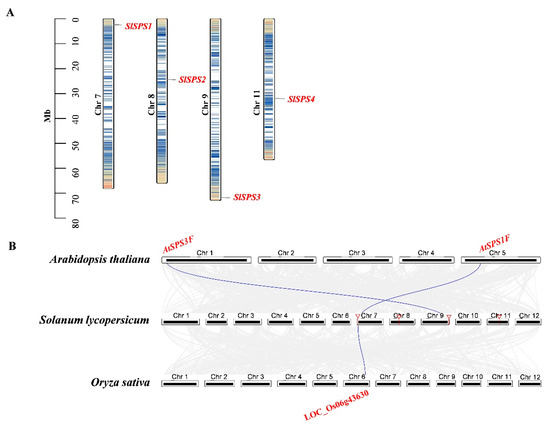 Structure and Expression Analysis of Sucrose Phosphate Synthase ...