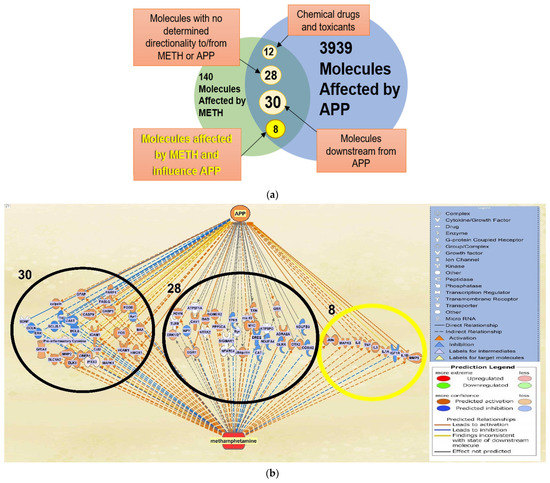 IJMS | Free Full-Text | Meta-Analysis of Methamphetamine Modulation on ...
