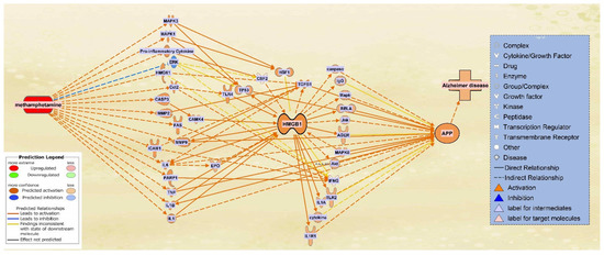 IJMS | Free Full-Text | Meta-Analysis of Methamphetamine Modulation on ...