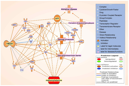 IJMS | Free Full-Text | Meta-Analysis of Methamphetamine Modulation on ...