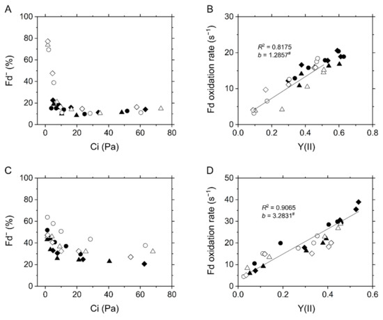 IJMS | Free Full-Text | Photosynthetic Linear Electron Flow Drives CO2 ...