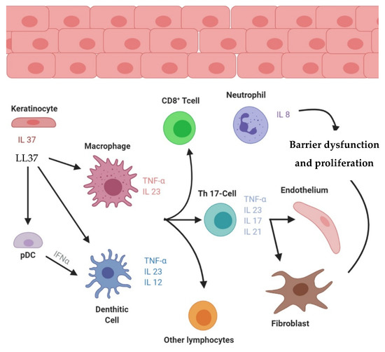 Psoriasis: From Pathogenesis to Pharmacological and Nano-Technological ...