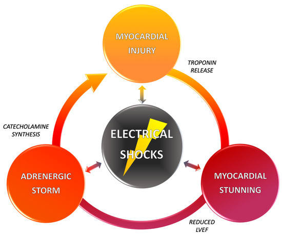 The Defibrillation Conundrum: New Insights into the Mechanisms of Shock ...