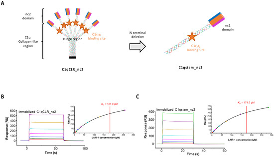 Molecular Basis of Complement C1q Collagen-Like Region Interaction with ...