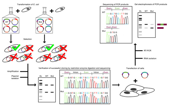 Principles and Practical Considerations for the Analysis of Disease ...