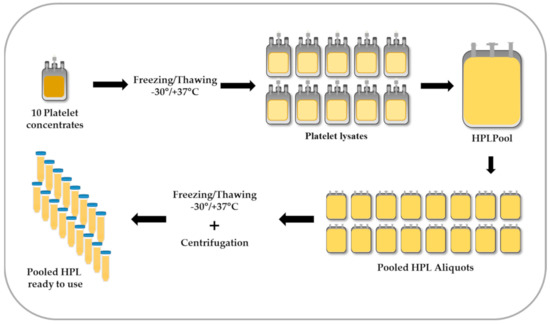 Human Platelet Lysate for Good Manufacturing Practice-Compliant Cell ...