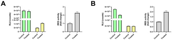 Current Practice in Bicistronic IRES Reporter Use: A Systematic Review