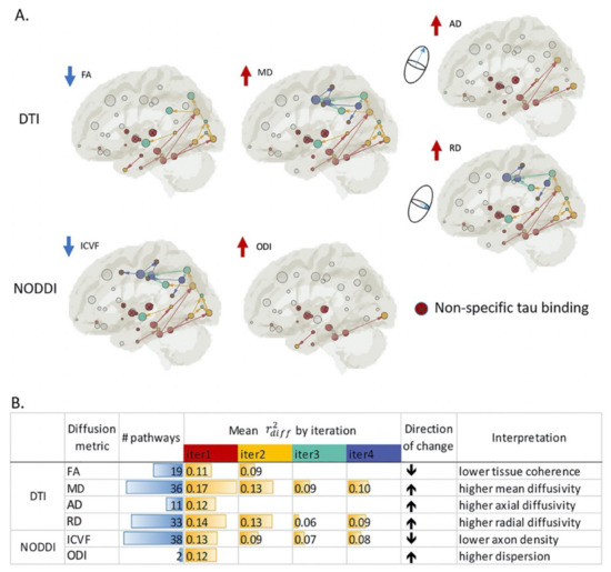 Diffusion Magnetic Resonance Imaging-Based Biomarkers for ...