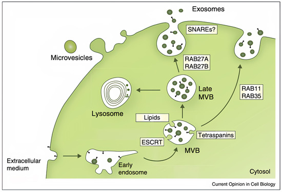 Exosome Traceability and Cell Source Dependence on Composition and Cell ...
