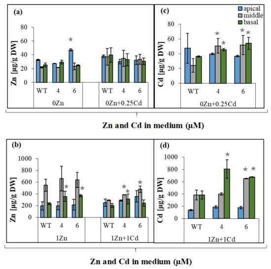 Suppression of NtZIP4A/B Changes Zn and Cd Root-to-Shoot Translocation ...