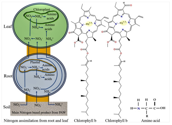 Low-Temperature Plasma-Assisted Nitrogen Fixation for Corn Plant Growth ...