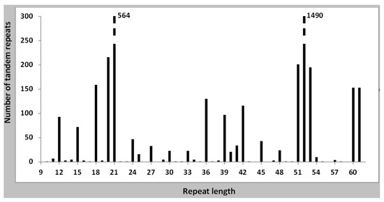 Tandem Repeats in Bacillus: Unique Features and Taxonomic Distribution