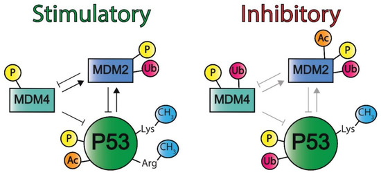 Mechanisms of TP53 Pathway Inactivation in Embryonic and Somatic Cells ...