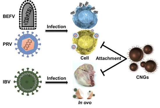 Ijms Special Issue Molecular And Macromolecular Interactions Of Carbon Based Nanostructures