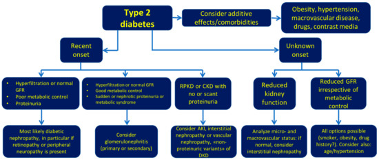 Kidney Biopsy in Type 2 Diabetic Patients: Critical Reflections on ...