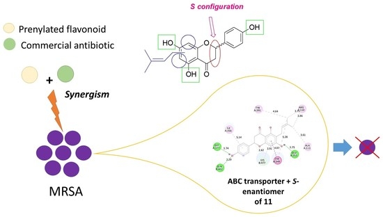 IJMS | Free Full-Text | Prenylated Flavonoids with Potential ...