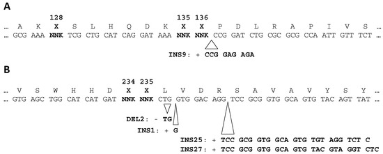 IJMS | Free Full-Text | High-Throughput Sequencing of Phage Display Libraries Reveals Parasitic ...