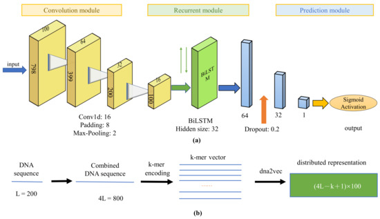 DeepD2V: A Novel Deep Learning-Based Framework for Predicting ...