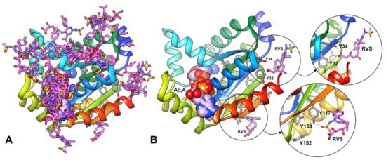Assessing the Interactions of Statins with Human Adenylate Kinase ...