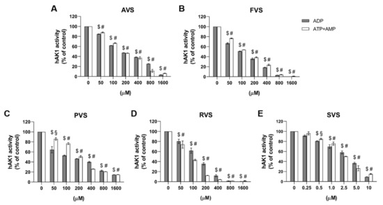 Assessing the Interactions of Statins with Human Adenylate Kinase ...