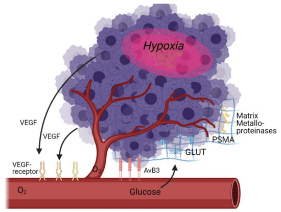 Molecular Imaging of Angiogenesis in Oncology: Current Preclinical and ...