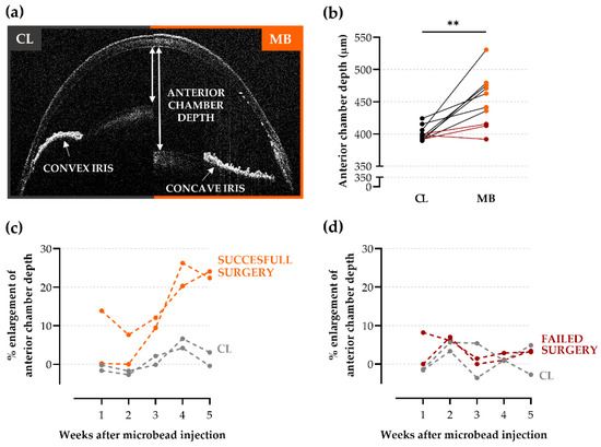 A Fair Assessment of Evaluation Tools for the Murine Microbead ...