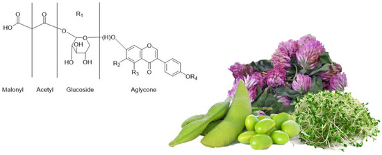 Pleiotropic Effects of Isoflavones in Inflammation and Chronic ...