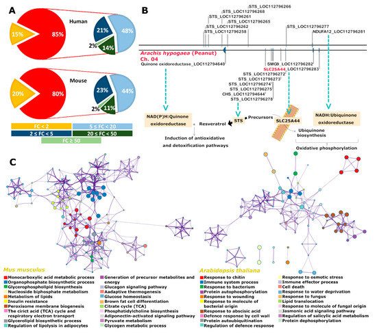 Genome Evolutionary Dynamics Meets Functional Genomics: A Case Story on ...